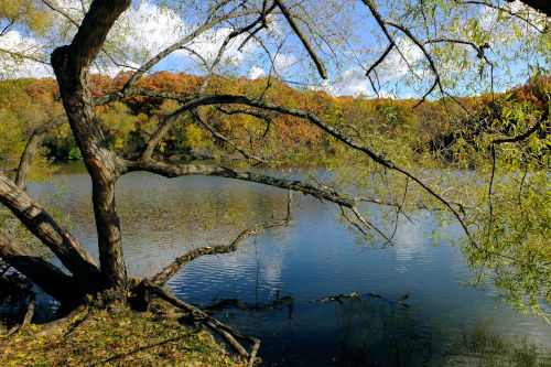 Cedar Lake, Indiana Car Accident Lawyer